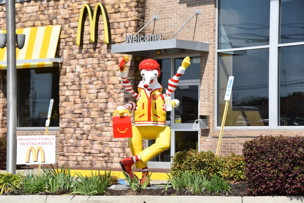 Ronald McWeevil: A Whimsical Tale From The Heart Of Boll Weevil Country ...